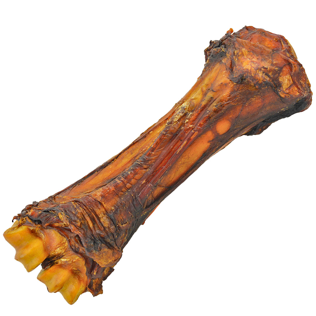 North Winds Premium Beef Shank Bone USA Sourced Dog Chew – My Pets Plus